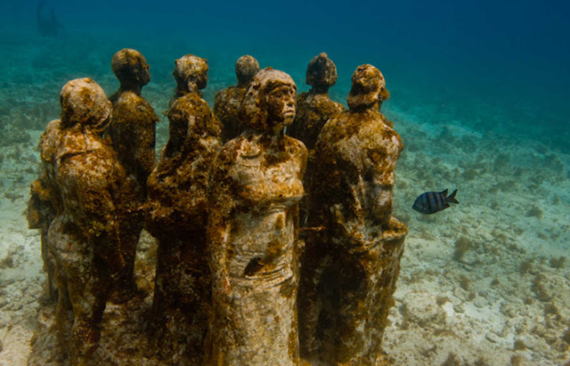 TOP 5 Spots for Snorkeling in Cancun, Mexico